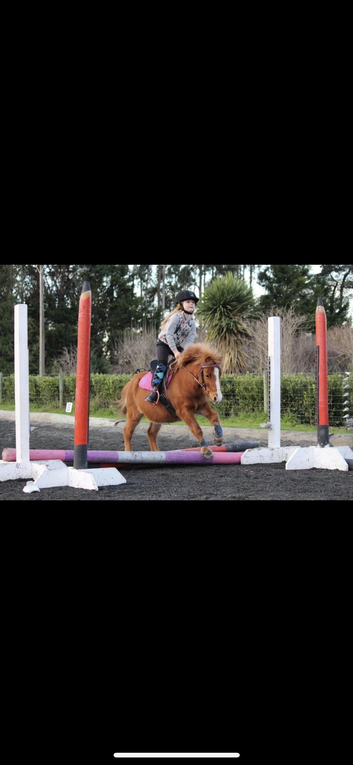 Lincoln Riding School